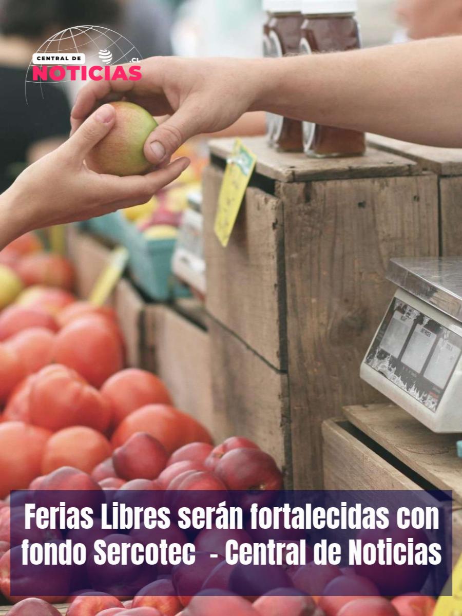 Ferias Libres serán fortalecidas con fondo Sercotec - Central de Noticias