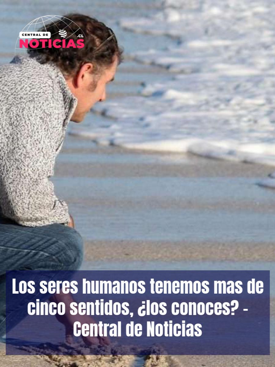 Los seres humanos tenemos más de cinco sentidos, ¿los conoces ...