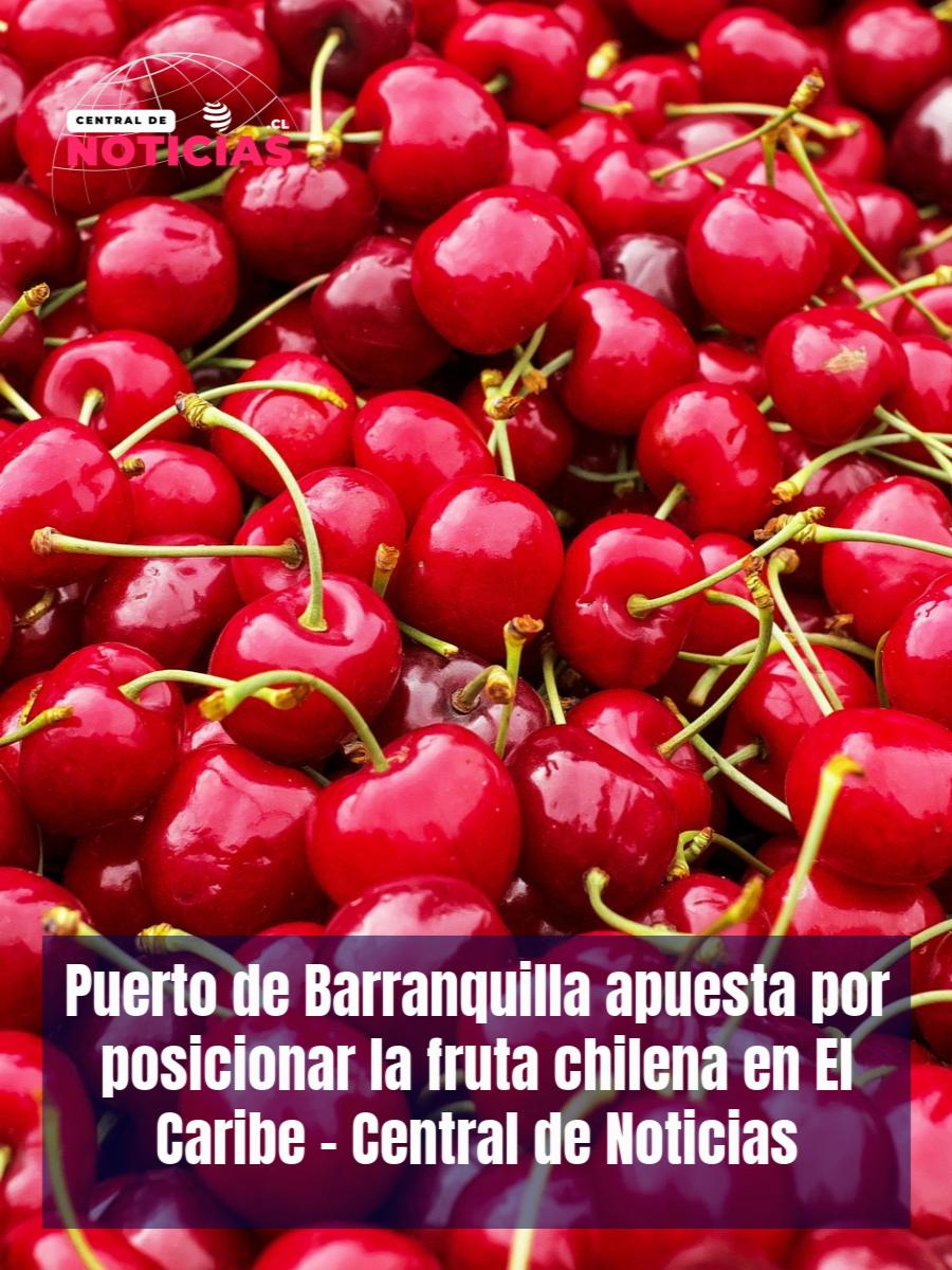 Puerto de Barranquilla apuesta por posicionar la fruta chilena en El ...