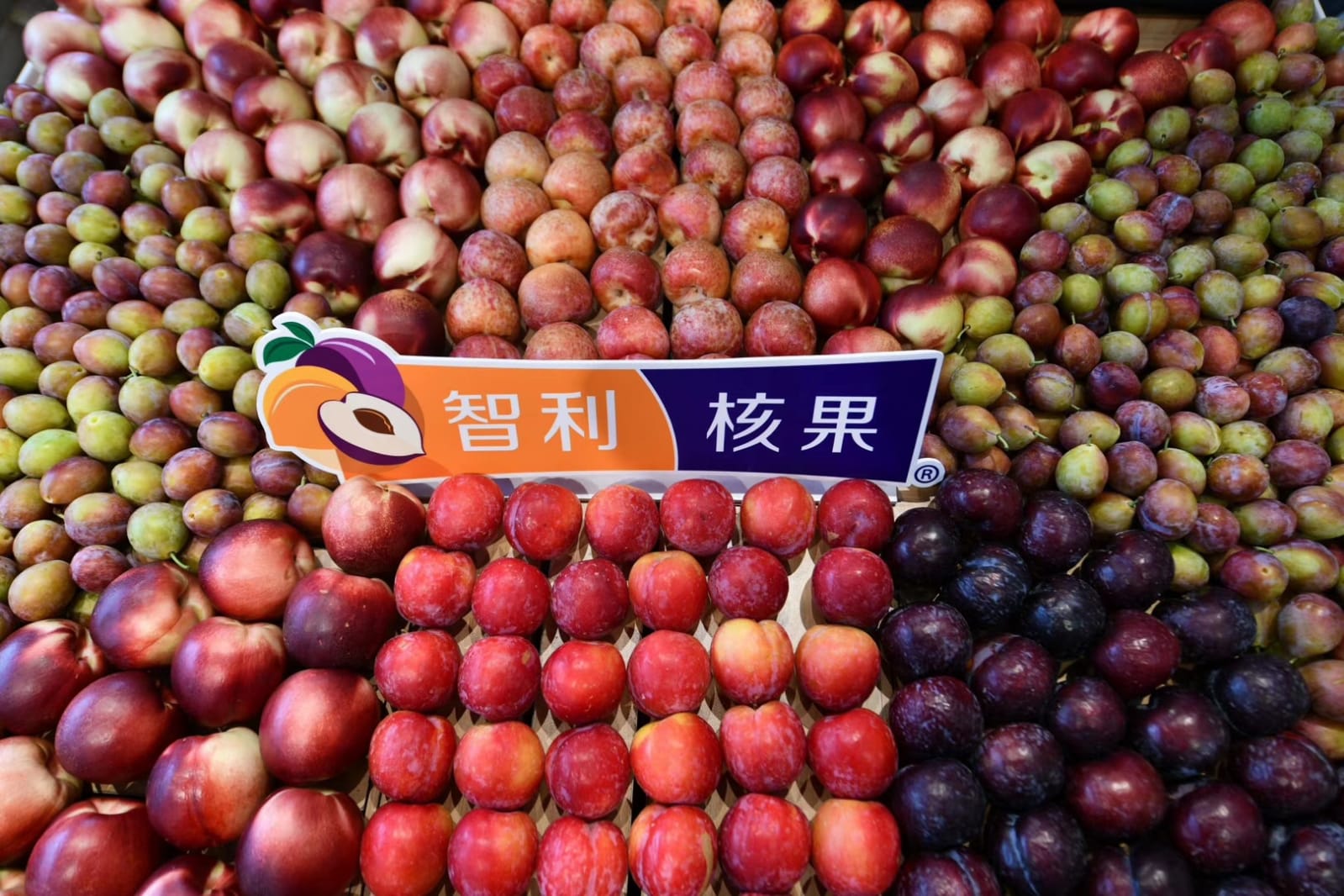 Los riesgos para la fruta fresca por nuevos protocolos de exportación a ...